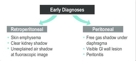 Model For Early Diagnoses Of Perforations Post ERCP Download Scientific Diagram