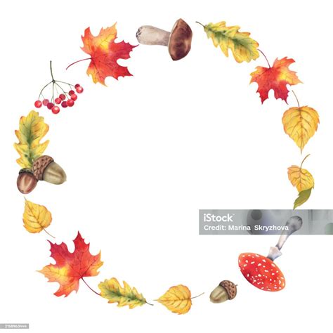 참나무 자작나무 사시나무 단풍나무 가막살 나무 열매 포르치니 버섯 및 플라이 아가릭의 가을 잎 수제 수채화 그림입니다 둥근