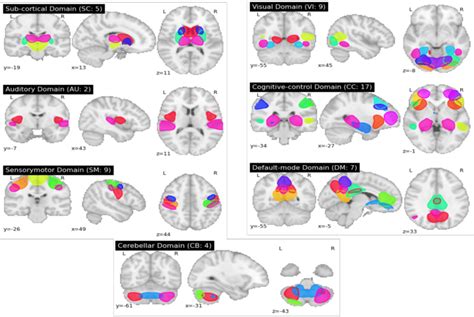 Brain Networks Estimated From Ica Functional Networks Are Grouped Into Download Scientific