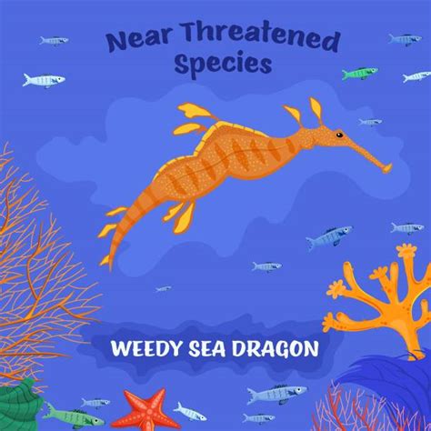 70개 이상의 인도 태평양 일러스트 스톡 사진 그림 및 Royalty Free 이미지 Istock