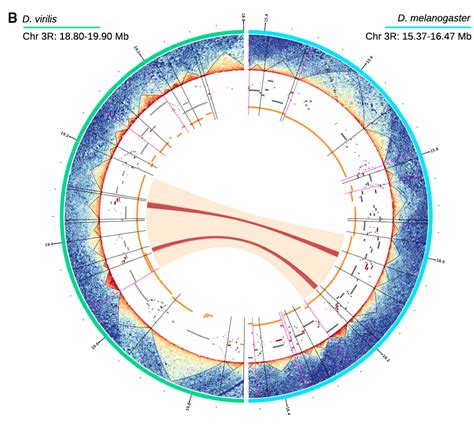 HicPlotTADs In Circos Issue Deeptools PyGenomeTracks GitHub