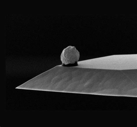 Sqube Colloidal Afm Probes Catalog