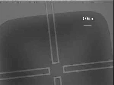 Sem Of The Patterned Polysilicon In A Windowed Single Strip Sensor Download Scientific Diagram