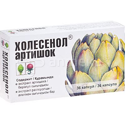 Холесенол артишок 0,41 №36 капсулы / Печеночные и желчегонные / БАДы ...
