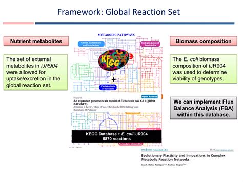 Modularity In Metabolic Networks Ppt