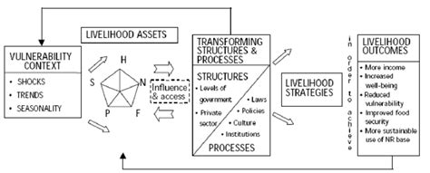 5 The Dfid Sustainable Livelihoods Framework Source Dfid 199911 Download Scientific Diagram 5 The Dfid Sustainable Livelihoods Framework Source Dfid 199911 Download Scientific Diagram