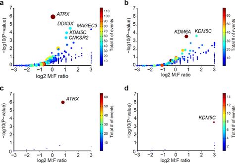 Tumor Suppressor Genes That Escape From X Inactivation Contribute To