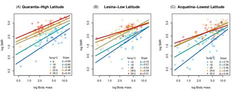 Standard Metabolic Rate Smr J Day1 In Relation To Dry Body Mass M