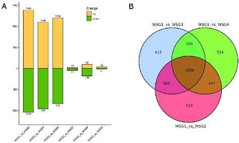 Differently Expressed Genes Degs Of Comparison Pairs A Up And