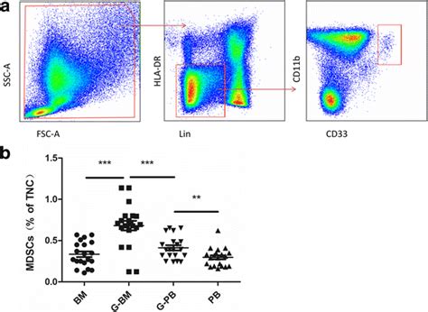Expression Of Mdscs In The Bm And Pb Before And After G Csf