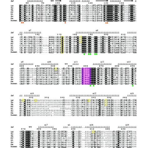 Structure Based Multiple Sequence Alignment Of 6pgds From Various