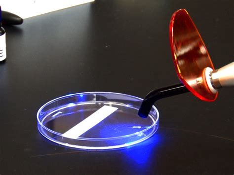 Applications Of The Single Probe Mass Spectrometry Imaging And Single