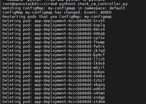 Kubernetes Custom Resources