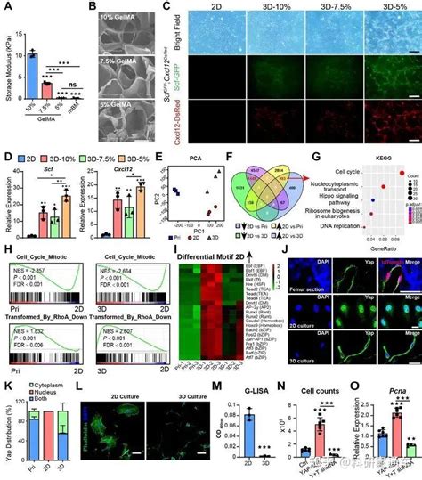 预防血液病 逆转衰老！cell Stem Cell：实现衰老造血干细胞的年轻化 知乎