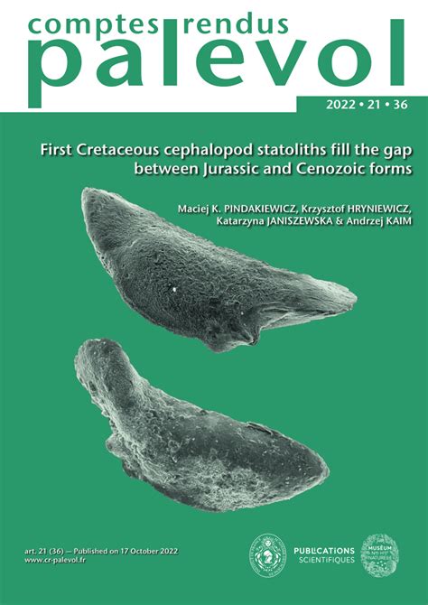 Pdf First Cretaceous Cephalopod Statoliths Fill The Gap Between Jurassic And Cenozoic Forms