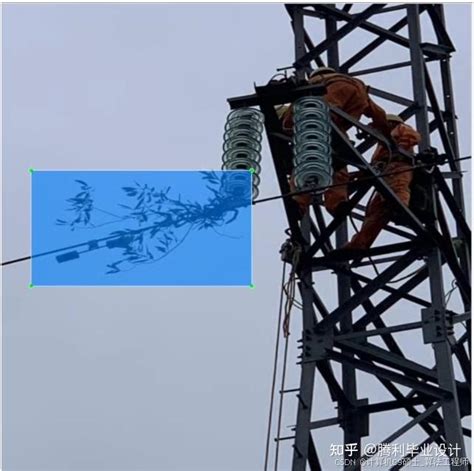 深度学习目标检测中使用yolov8来训练变电站线路异物数据集的检测系统 实现对变电站线路异物数据集检测评估及可视化 变电站线路异物数据集 分别