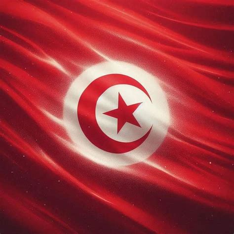 Abdelaziz Lassoued Posted On Linkedin