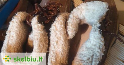 Silti Batai Skelbiu Lt