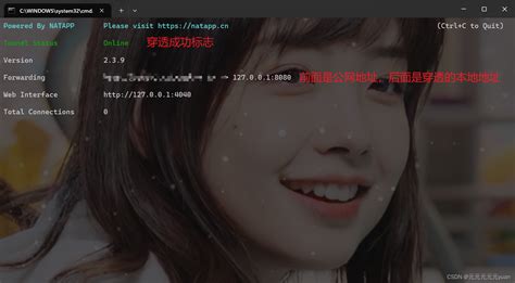 使用内网穿透解决支付宝回调地址在公网问题 本地环境支付回调内网穿透 csdn博客