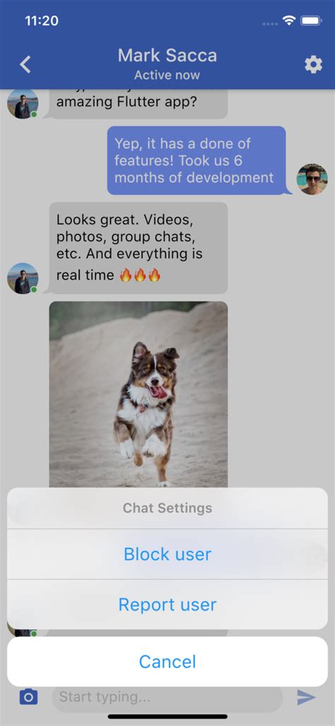 Flutter Chat App With Firebase Backend Download