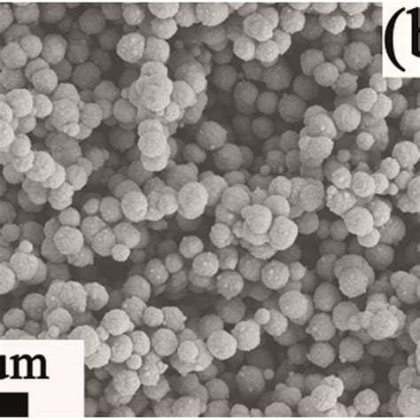 TEM and SEM of the Fe3O4@SiO2@mSiO2–COOH microspheres (a and b), and... | Download Scientific ...