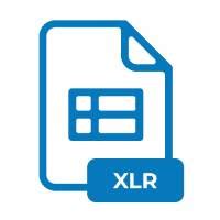XLR file extension - What is an .XLR format, and how to open it?