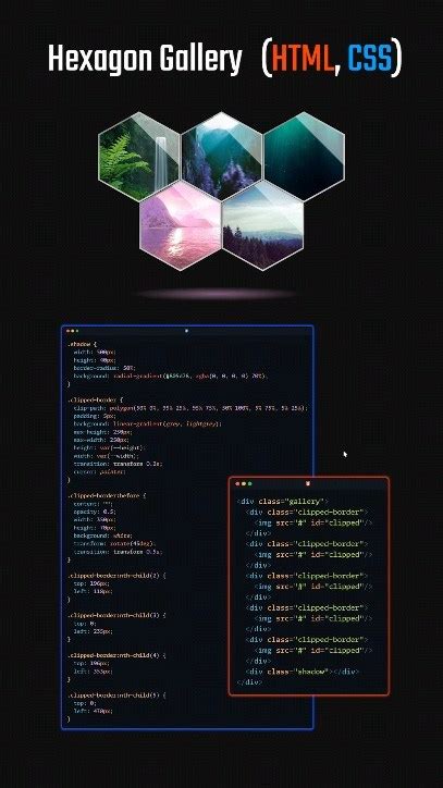 Webguild Htmlcss Code Develope Frontend Programming Web Instagram