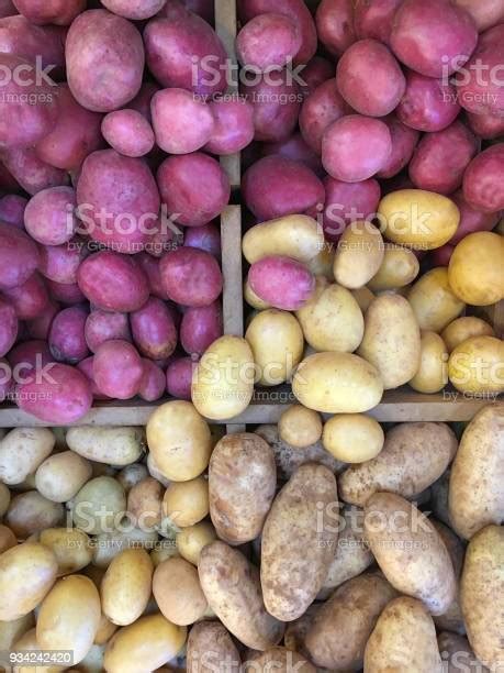 Kentang Terbagi Foto Stok Unduh Gambar Sekarang Kentang Mentah Akar Bagian Tanaman