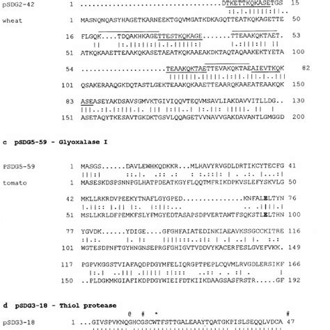 alignment of deduced peptide sequences from representative clones with