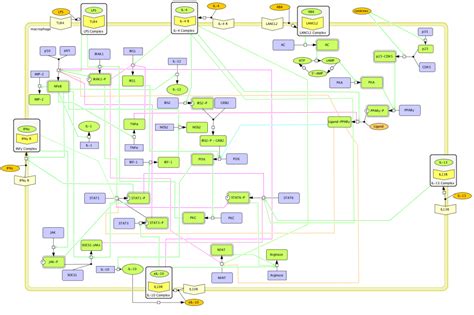 Macrophage Model Archive April 2012 Nutritional Immunology And Molecular Medicine Laboratory