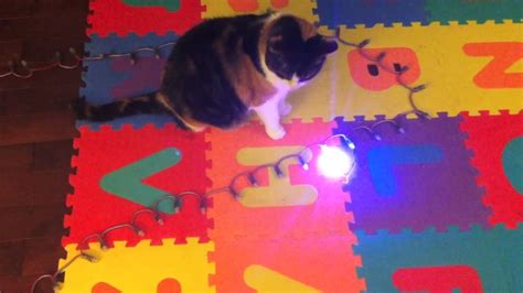 lightingpi using raspberrypi with openlightingarchitecture to create