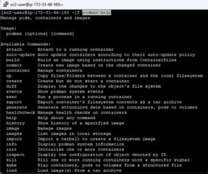 What Is Podman Explore This Docker Alternative
