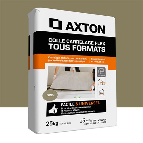 Colle En Poudre Solmur Intérieurextérieur Tous Formats Gris Axton