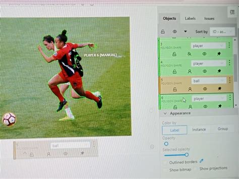 image annotation segmentation bounding box and all data labeling for