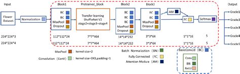 Figure 6 From A Lightweight Attention Based Convolutional Neural Networks For Fresh Cut Flower