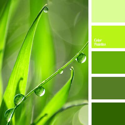 Grass Color Color Palette Ideas