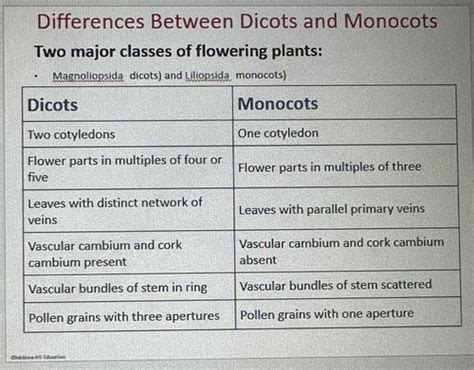 Botany Lecture Exam 2 Flashcards Quizlet