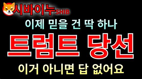 🔴 시바이누 코인 🔴 이제 믿을 건 하나 입니다 트럼프 당선 Youtube