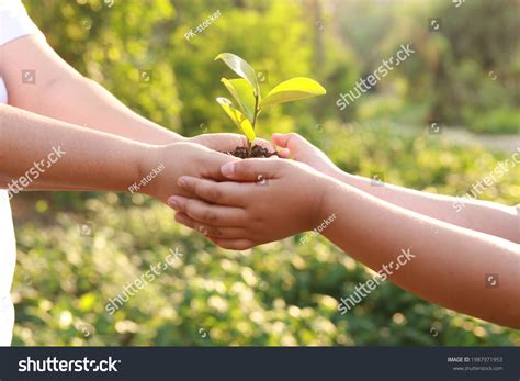 Concept Tree Planting Campaign Environment Social Stock Photo 1987971953 Shutterstock