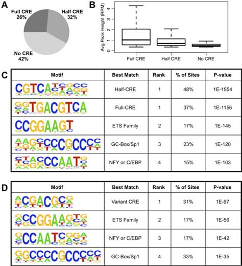 Motif Analysis Of Creb Binding Sites A Percentage Of Binding Sites