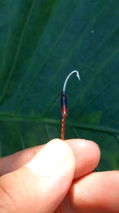 Pancingan Belut Kuat Pancing Belut Kail Belut Dari Baja Urekan