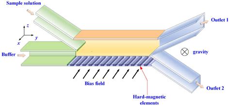 The Schematic Diagram Of The Y Shaped Microfluidic System And The Download Scientific Diagram