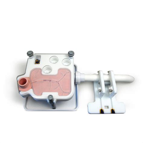 Ercp Trainer 2101 The Chamberlain Group