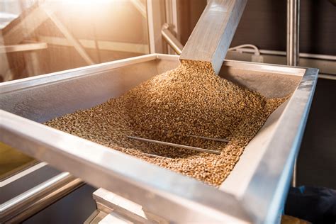 Malt Vs Sugar Choosing The Right Base For Your Beverage Brand