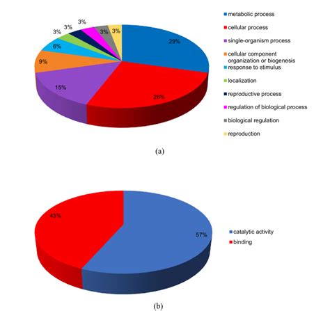 Leaf Ests Coding For A Biological Processes And B Molecular Functions