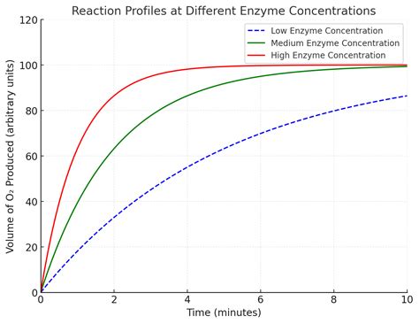 03 06 Enzyme Action Enzyme Concentration Biomed Foundation