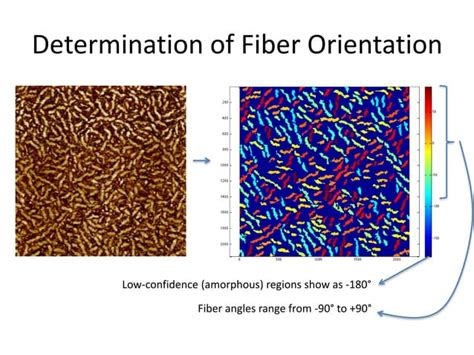 Orientation Algorithm 1 Pptx
