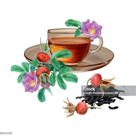 차 한잔 로즈힙 말린 찻잎 벡터 일러스트 레이 션 에서 그래픽 스타일 카드 초대장 봄 배너 포장 표지 라벨 전단지 0명에 대한