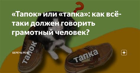 «Тапок» или «тапка»: как всё-таки должен говорить грамотный человек ...
