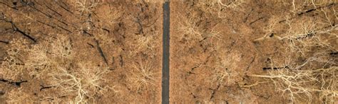 The Value Of Cat Models For Measuring Climate Risk